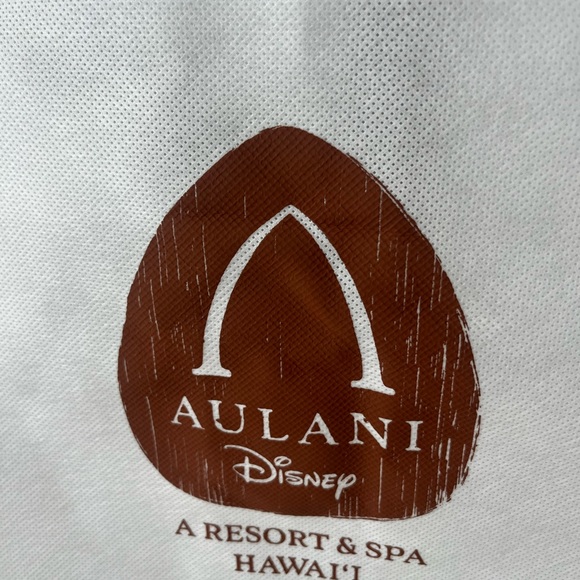 Disney Aulani | Other | Disney Aulani New Release Reusable Bag | Poshmark